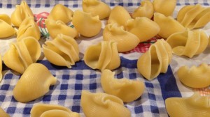 Galets farcits de carn i ricotta amb salsa de tomàquet - La pasta per ...